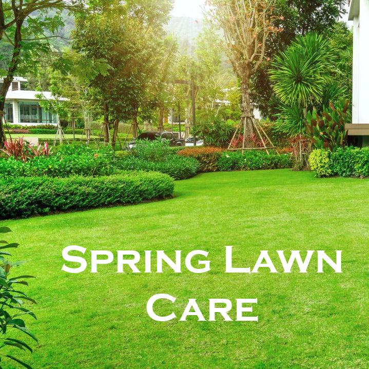 Spring Lawn Care – Sunset Nursery