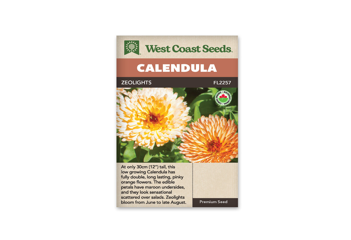 Calendula - Zeolights Organic (Seeds) – Sunset Nursery