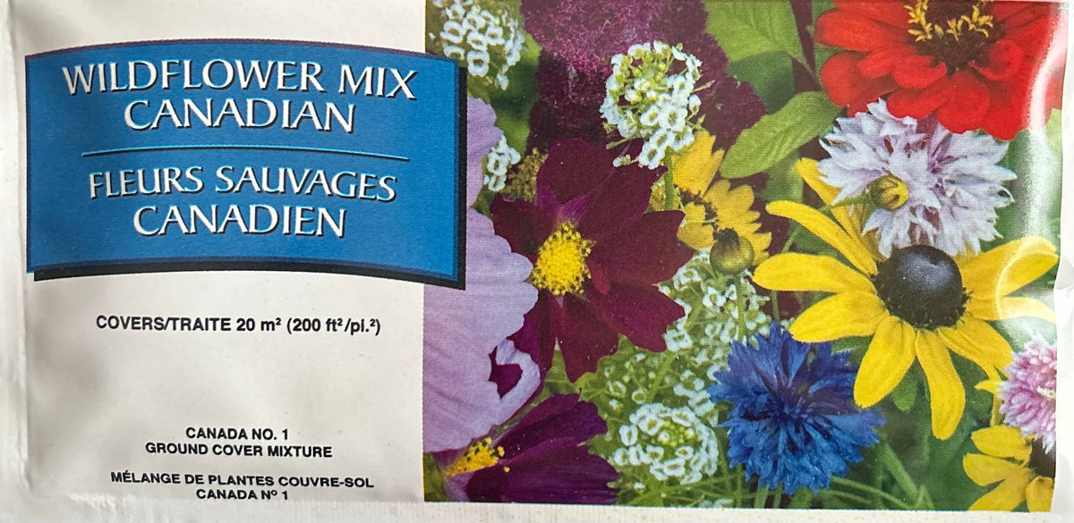 Wildflowers - Canadian Mix JUMBO PACK (Seeds) – Sunset Nursery