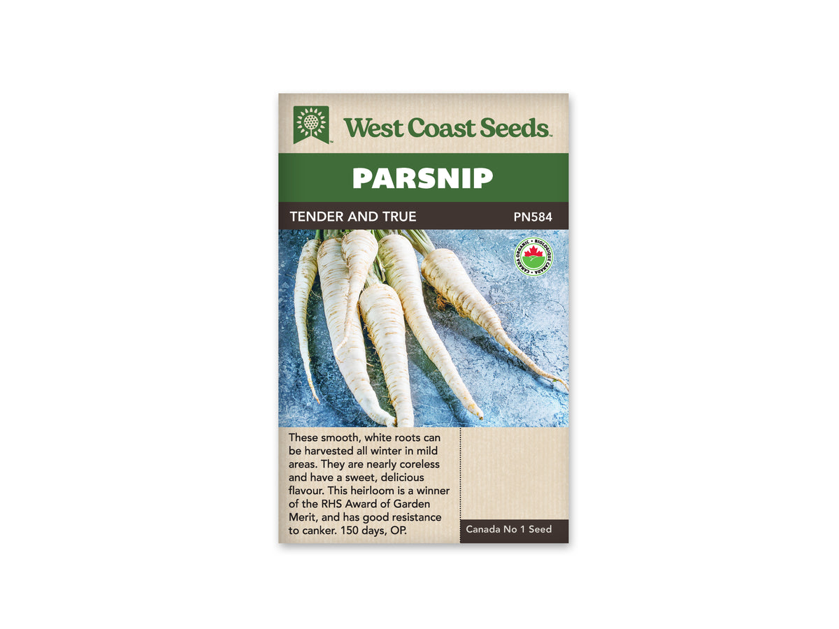 Parsnips - Tender and True Organic (Seeds) – Sunset Nursery