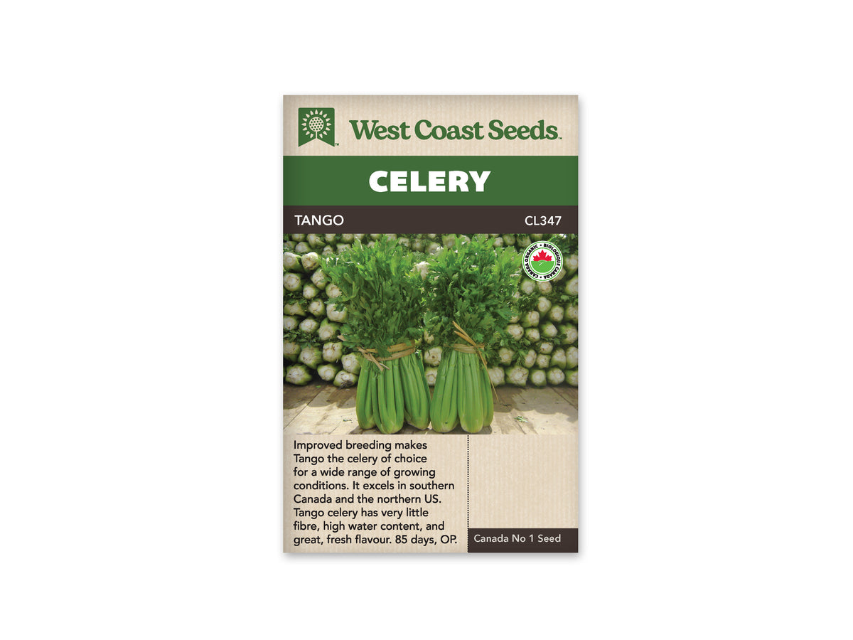 Celery - Tango Organic (Seeds) – Sunset Nursery