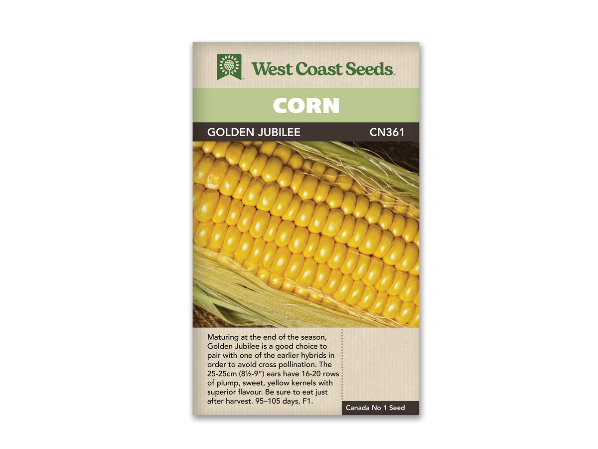 Corn - Golden Jubilee F1 (Seeds) – Sunset Nursery