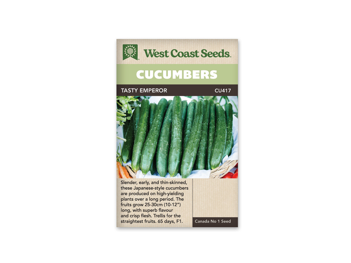 Cucumber - Tasty Emperor (Seeds) – Sunset Nursery
