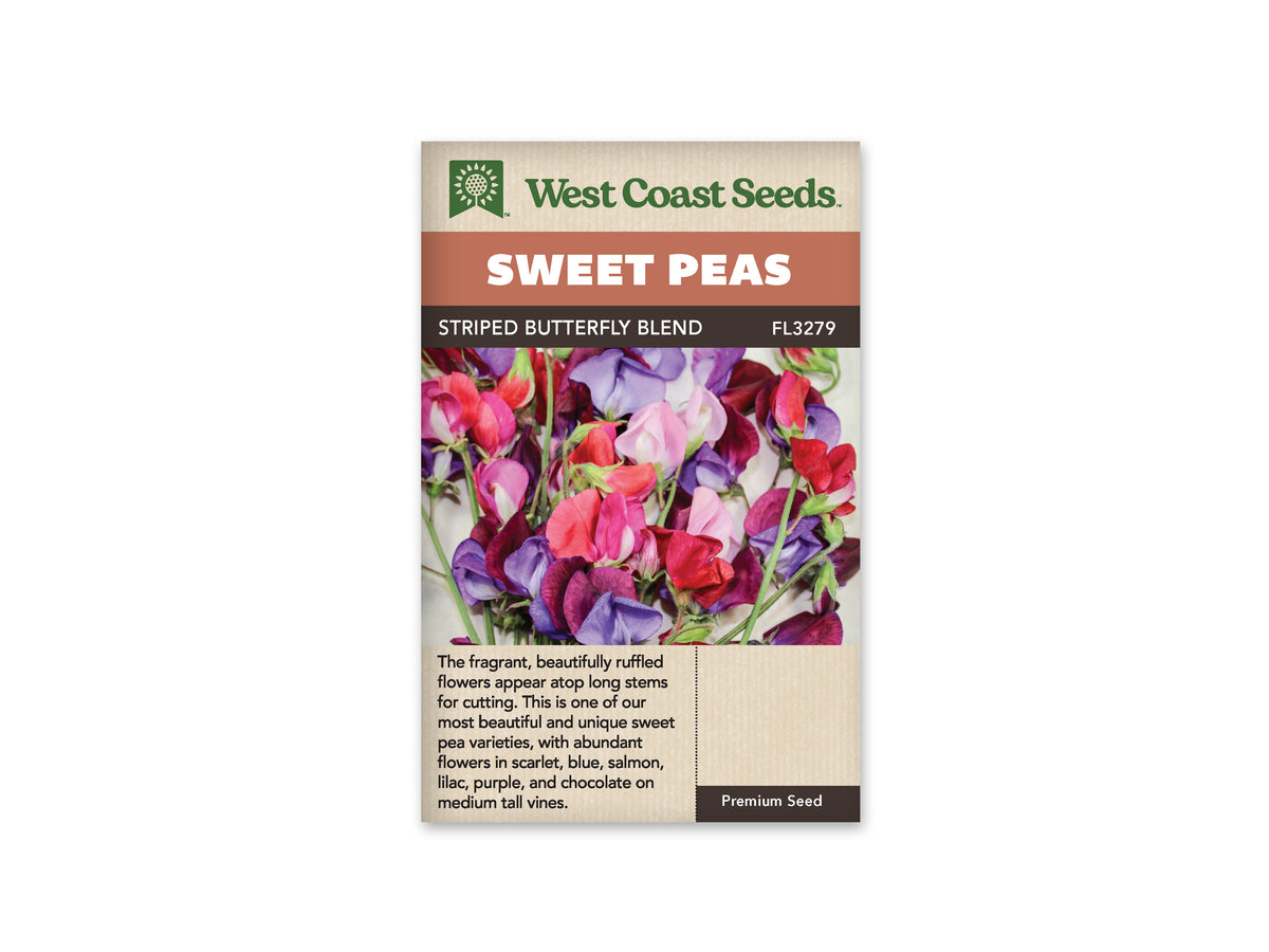 Sweet Peas - Striped Butterfly Blend (Seeds) – Sunset Nursery