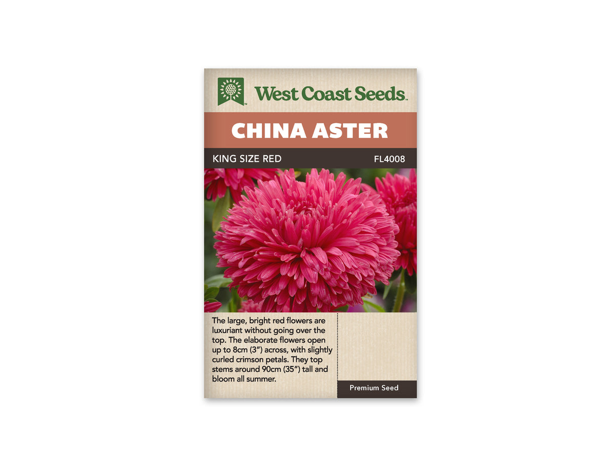 China Aster - King Size Red (Seeds) – Sunset Nursery