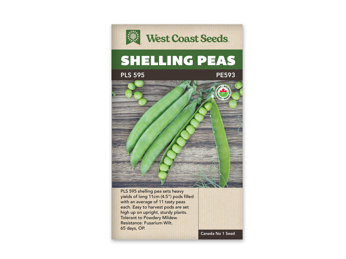 Peas - PLS 595 ORGANIC (Seeds) – Sunset Nursery
