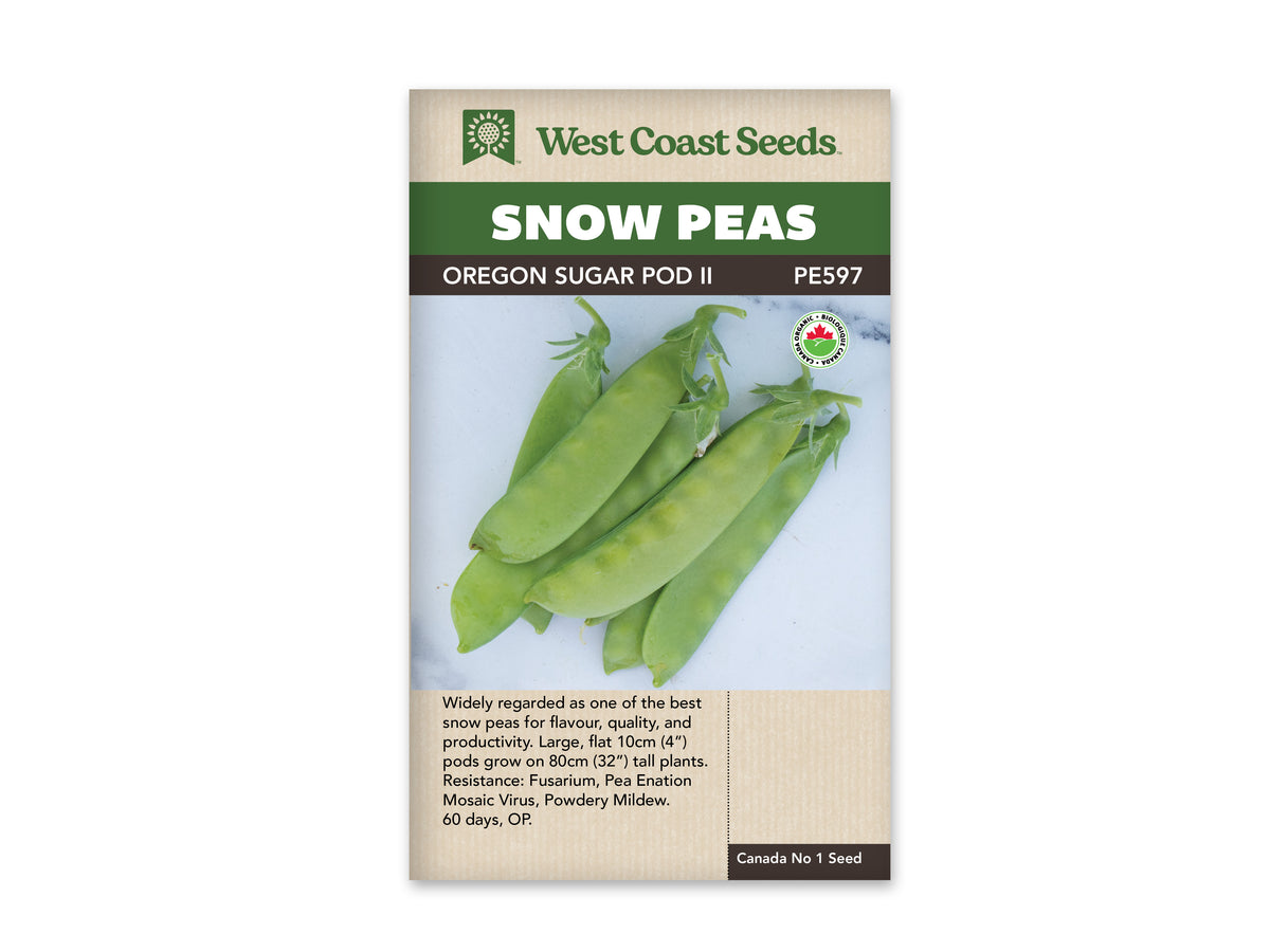 Snow Pea - Oregon Sugar Pod II ORGANIC (Seeds) – Sunset Nursery