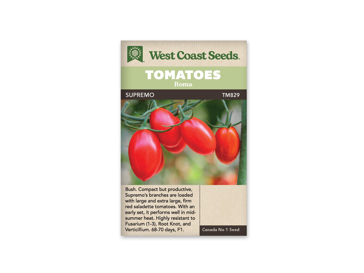 Tomato - Supremo F1 (Seeds) – Sunset Nursery