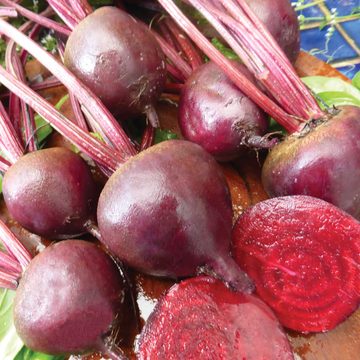 Beet - German Lutz (Seeds) – Sunset Nursery