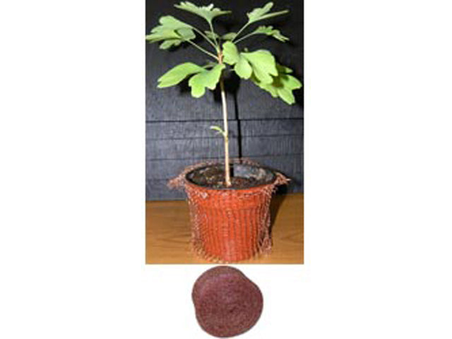 Slug Stopper - Copper Stopper – Sunset Nursery