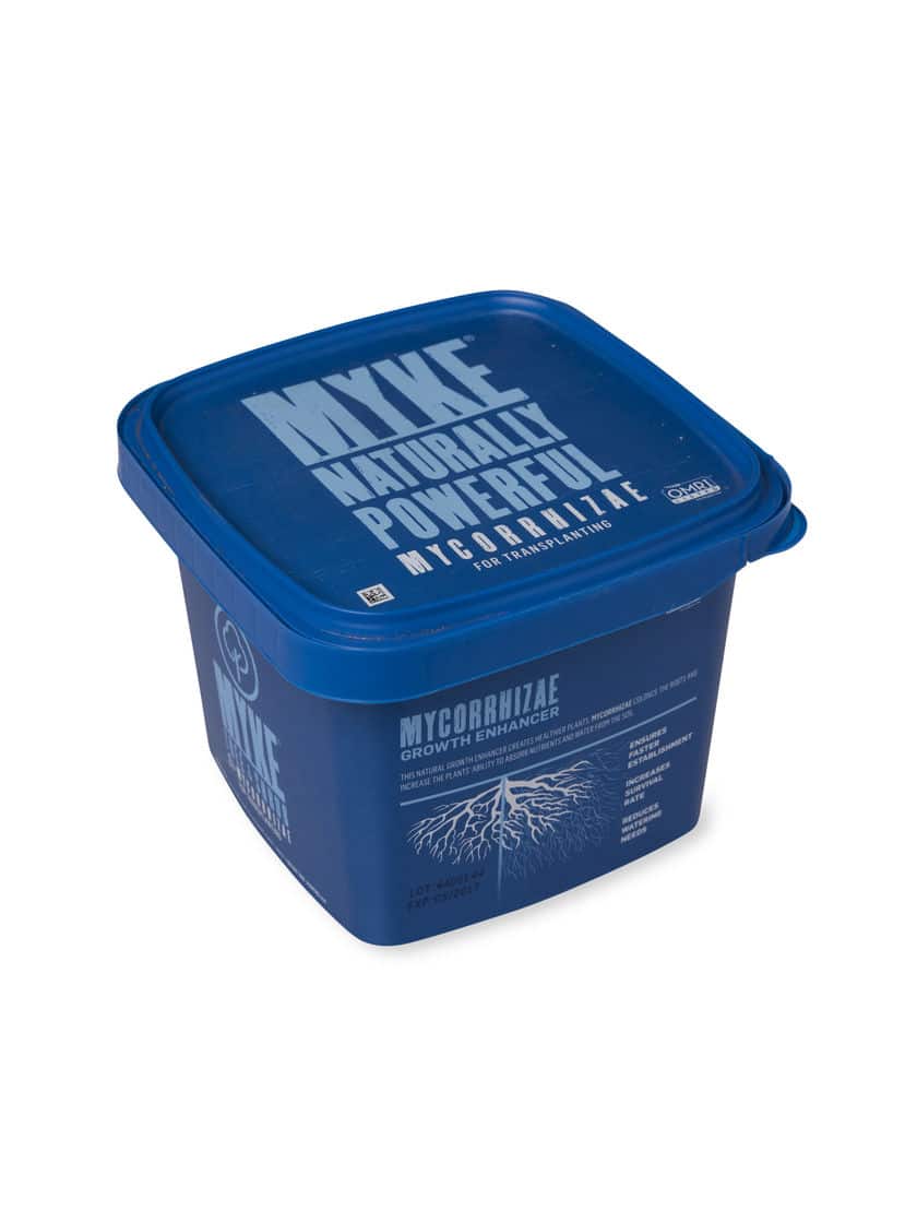 Myke Tree & Shrub – Sunset Nursery