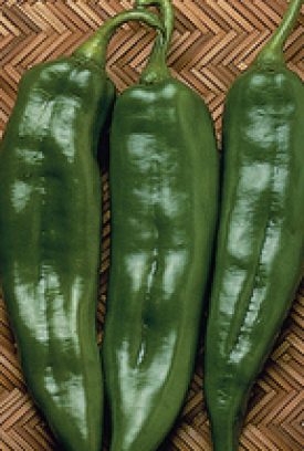 Pepper - Anaheim (Salsa Pepper) (Seeds) – Sunset Nursery