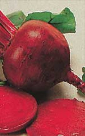Beet - Detroit Dark Red (Seeds) – Sunset Nursery