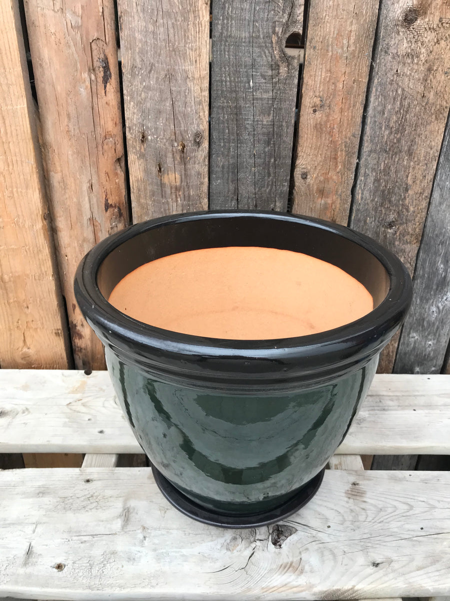 Pot with Saucer - Olive Green (Large) – Sunset Nursery